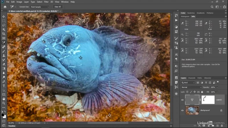 After Effects Advertisement Templates Download 3dmaxfarsi ir 